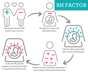 Rh Factor: What is it and Why Does it Matter? – Clearway Clinic